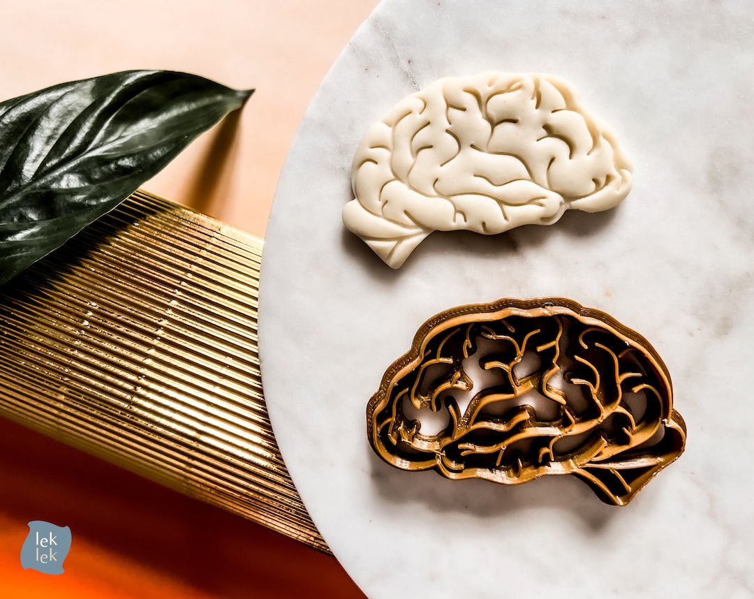Brain Cookie Cutter Anatomical, Anatomy Cookie Cutter, Pastry Brain ...