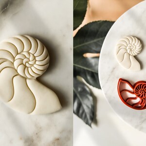 Nautilus Shell Cookie Cutter Sea Shell, 3d Printed Nautilus Fondant ...