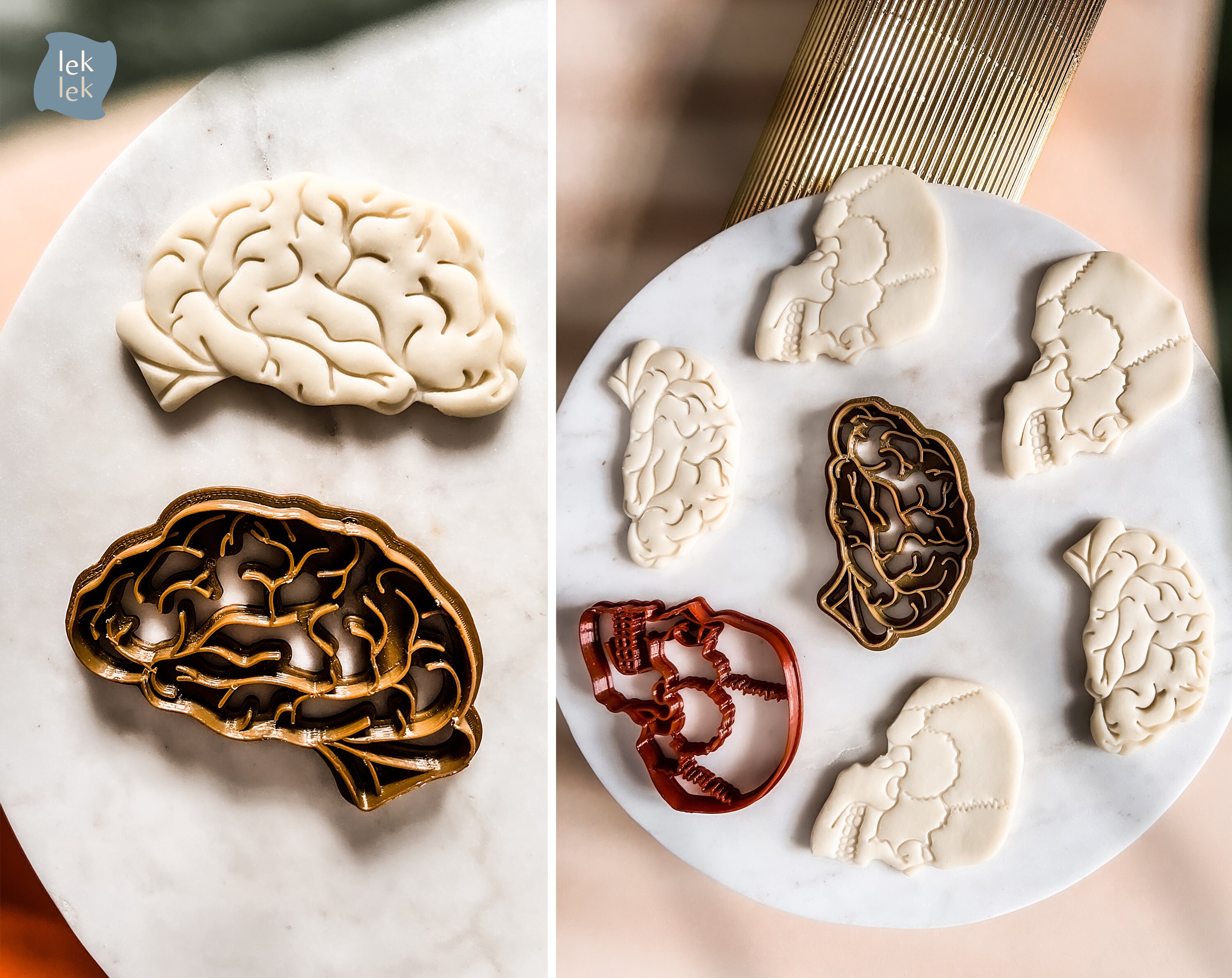 Brain Cookie Cutter Anatomical Anatomy Cookie Cutter Pastry - Etsy