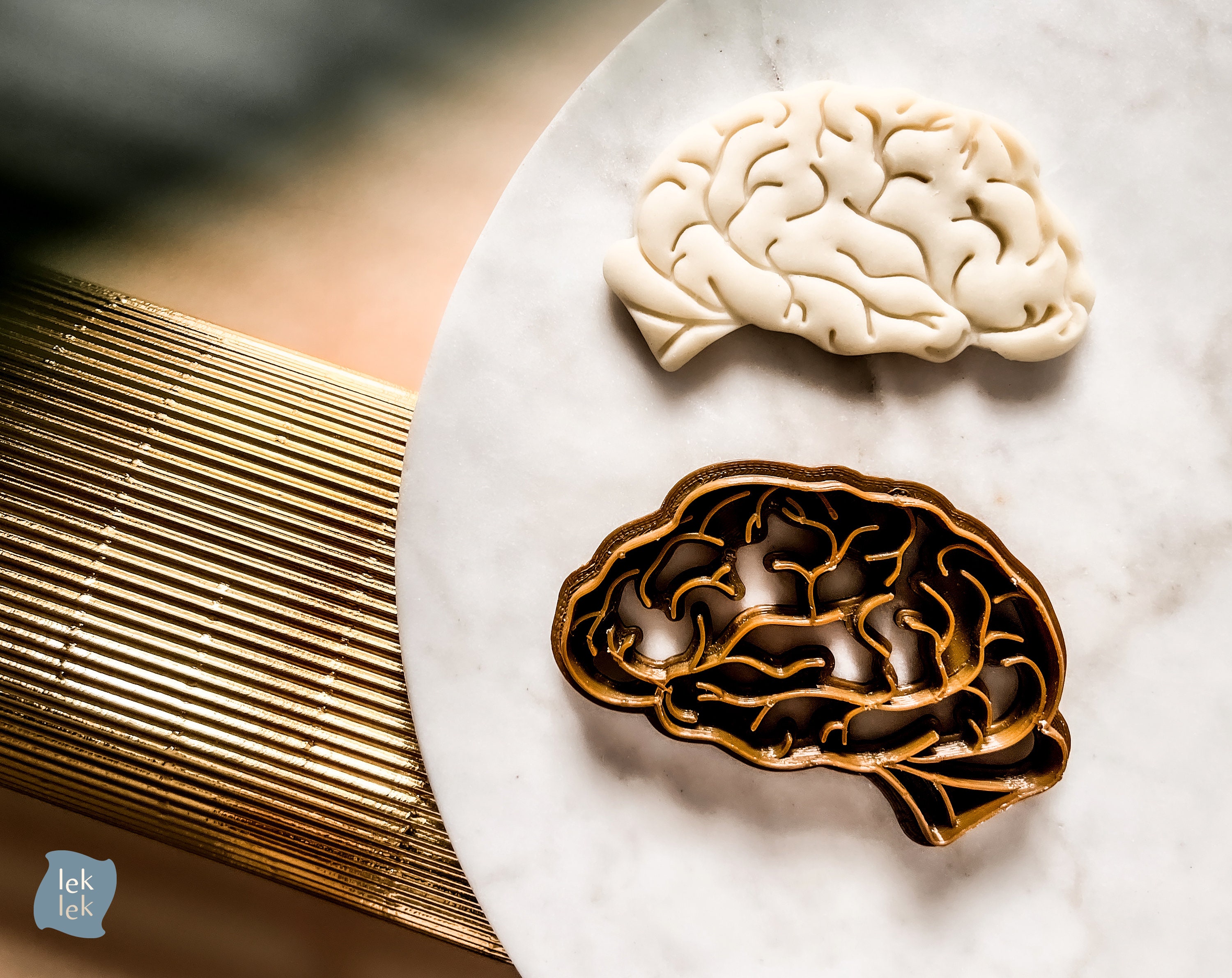 Brain Cookie Cutter Anatomical Anatomy Cookie Cutter Pastry - Etsy