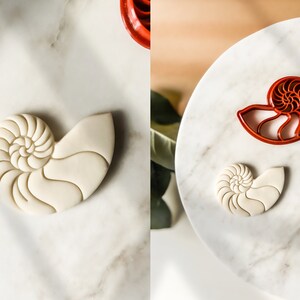 Nautilus Shell Cookie Cutter Sea Shell, 3d Printed Nautilus Fondant ...