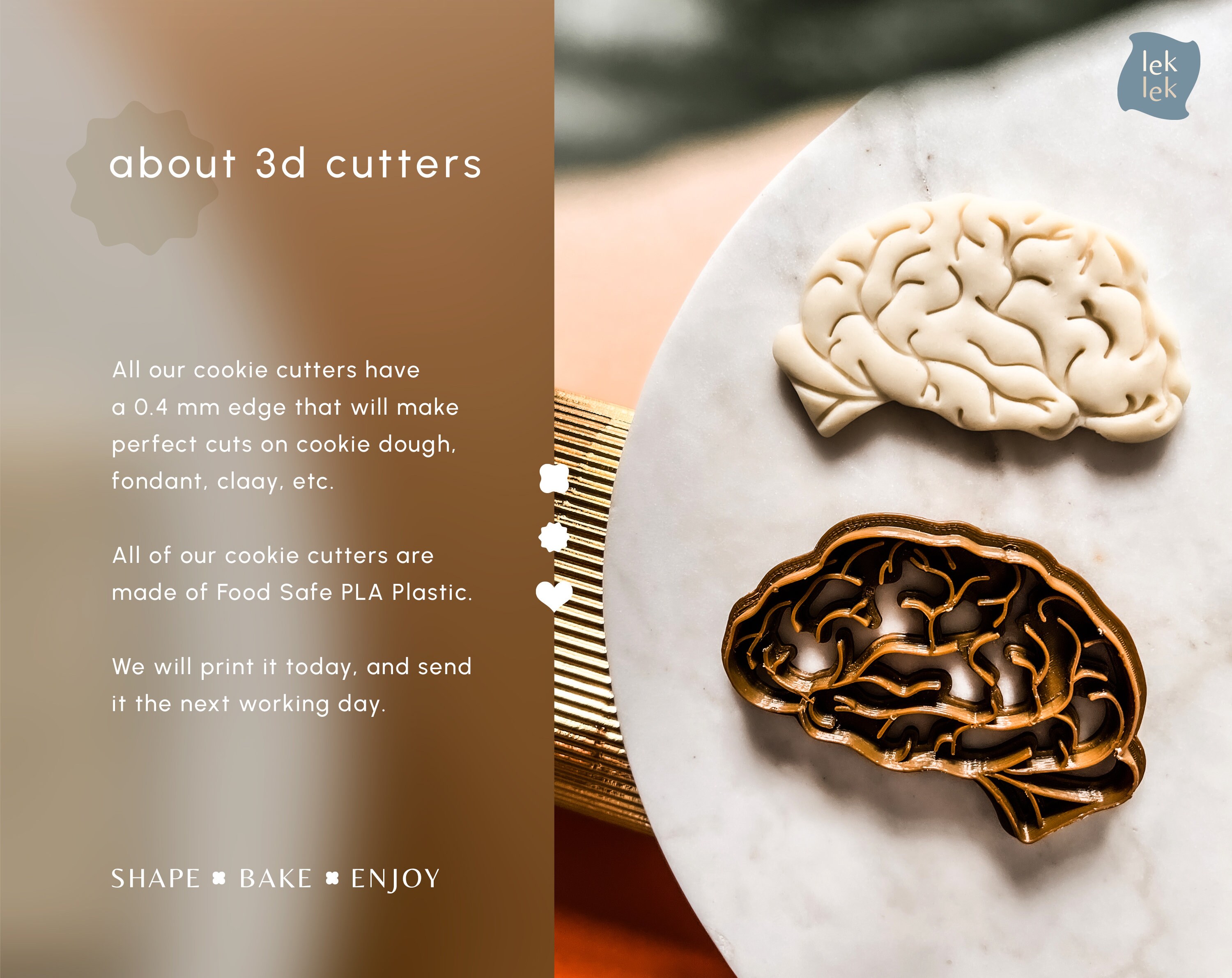 Brain Cookie Cutter Anatomical, Anatomy Cookie Cutter, Pastry Brain ...