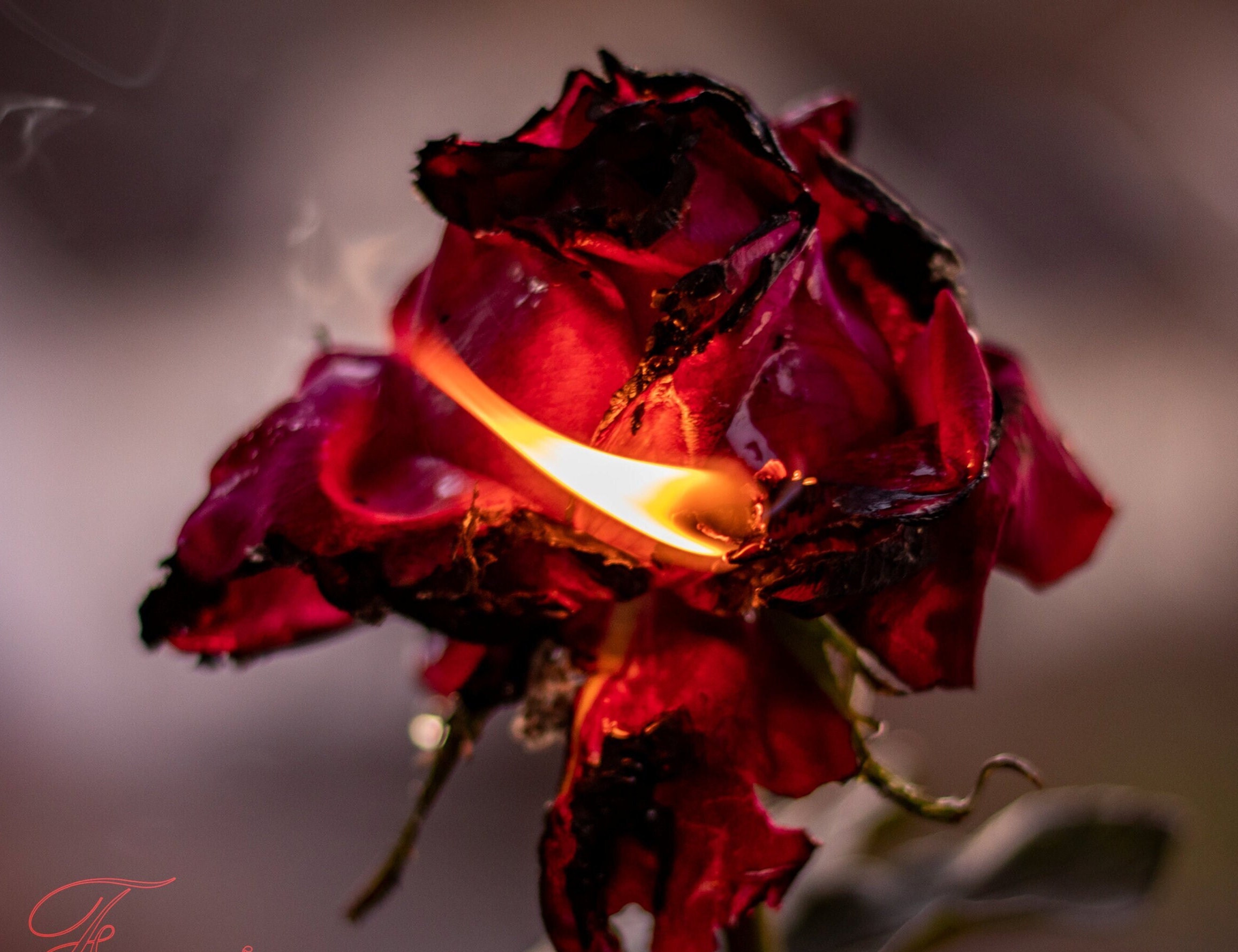 Unbinding Spell, Hotfoot Spells, Cord Cutting, Remove Negative People - Etsy