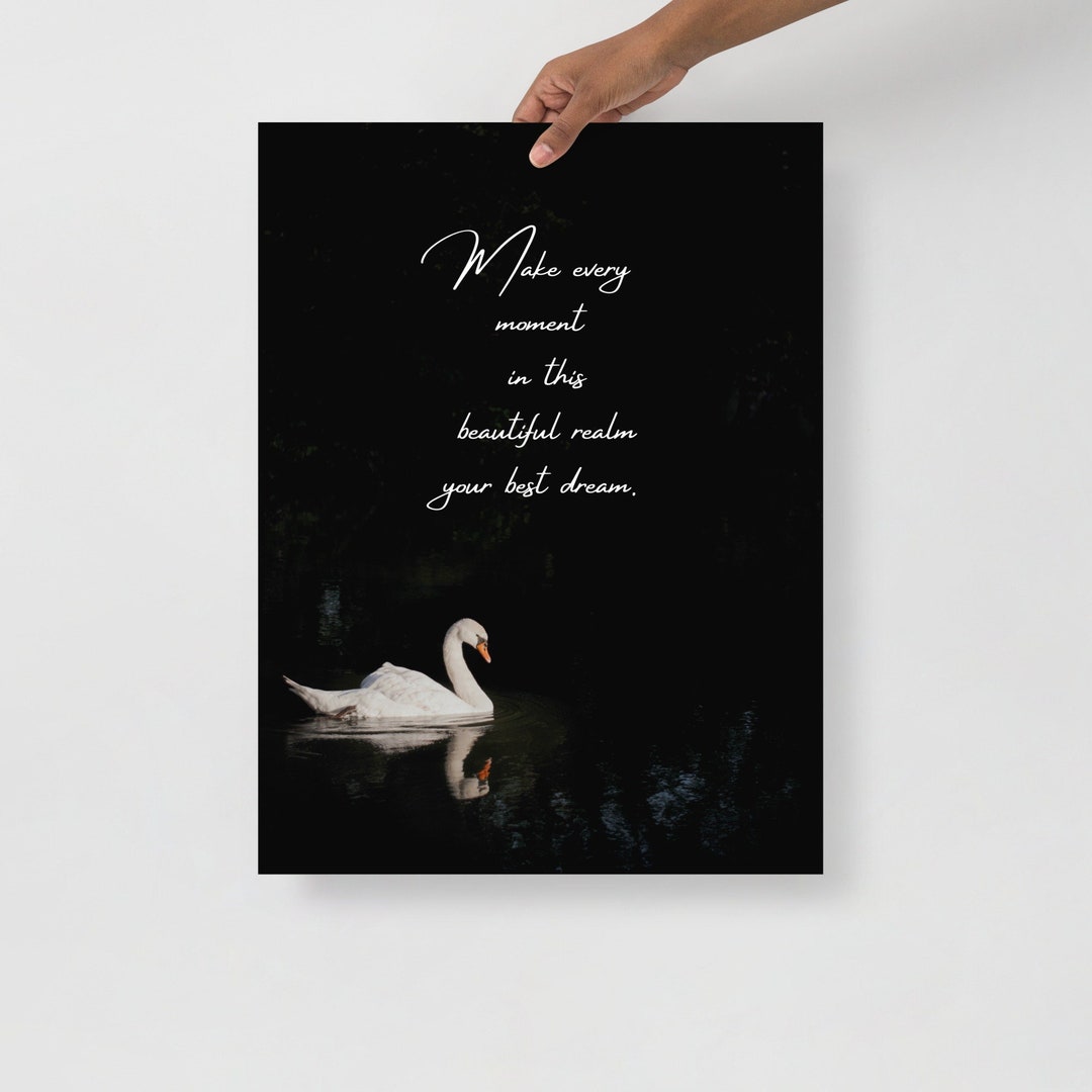 Beautiful Realm (black) Poster 18 X 24 Swan, Dreamy Inspirational ...