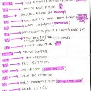 Occupational Therapy NBCOT + COTA Study Materials - Etsy