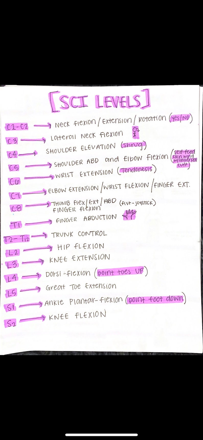 Occupational Therapy NBCOT Study Materials - Etsy