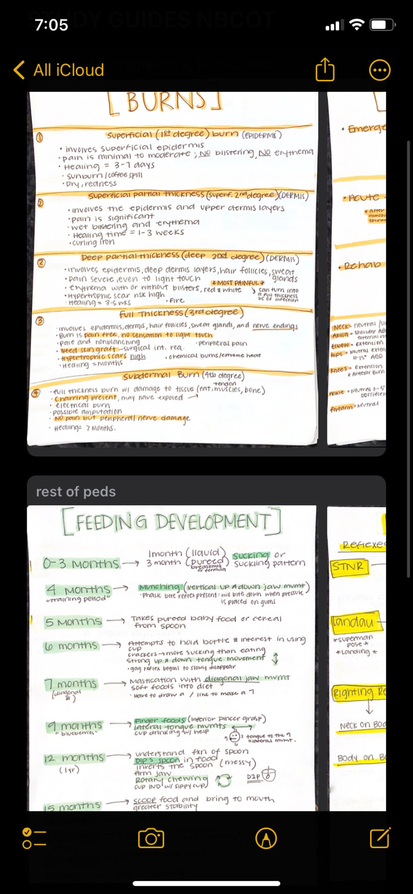 Occupational Therapy NBCOT + COTA Study Materials - Etsy