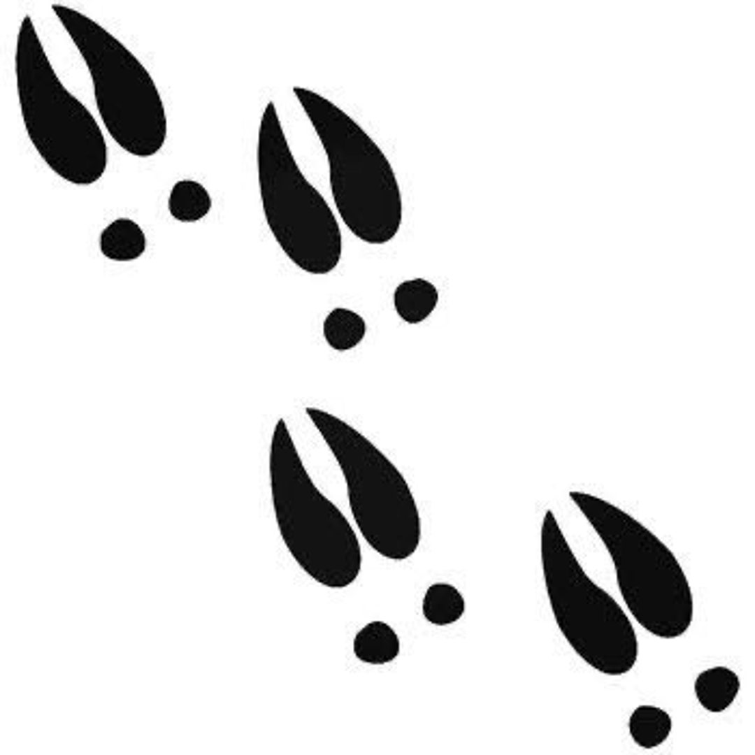 Deer Tracks Decal - Etsy