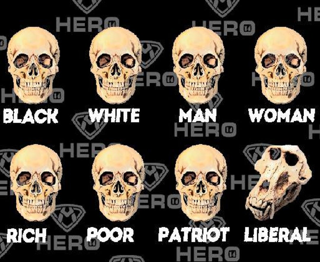 Skull Evolution Png Funny Shirt Idea With Skulls Explaining Evolution ...