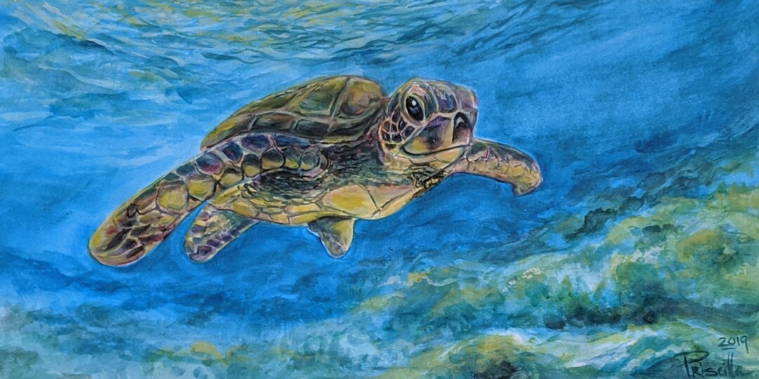 Sea Turtle Watercolor - Etsy
