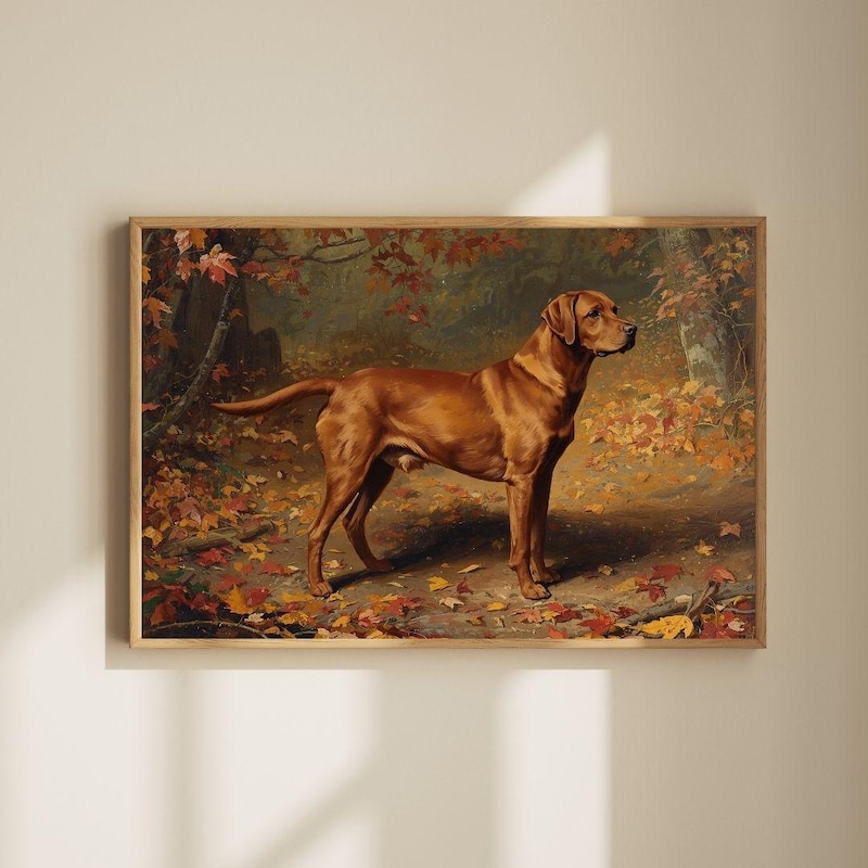 Vintage Red Fox Lab - Etsy UK