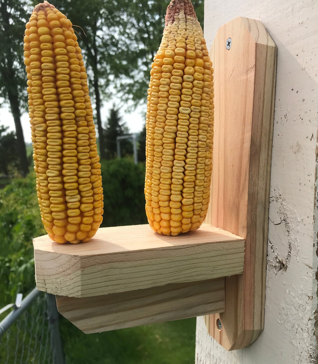 Twice the Fun With This Squirrel Feeder That Hold Two Corn Cobs for ...