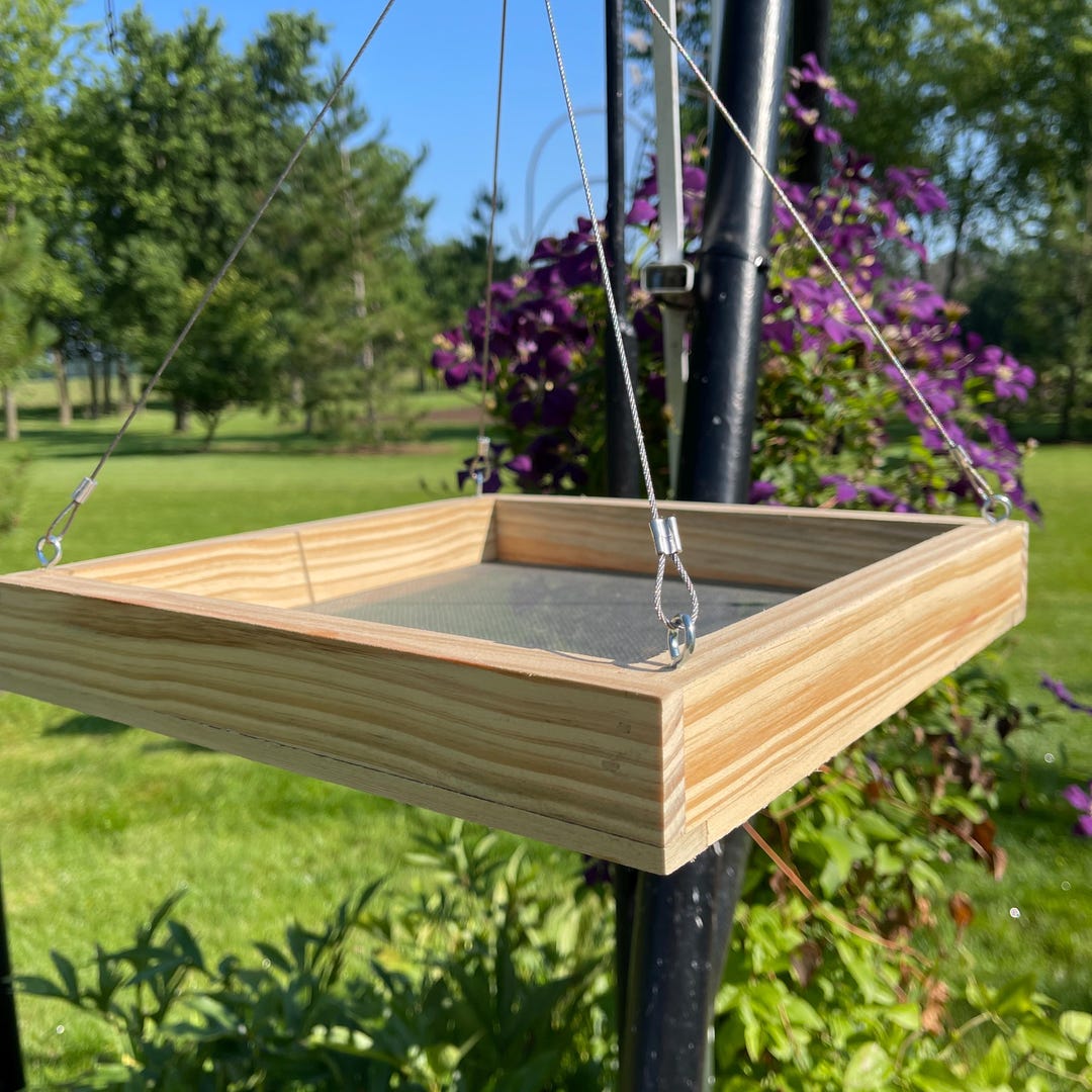 Great Value on This Flat Bird Feeder Designed to Last Many Years in the ...