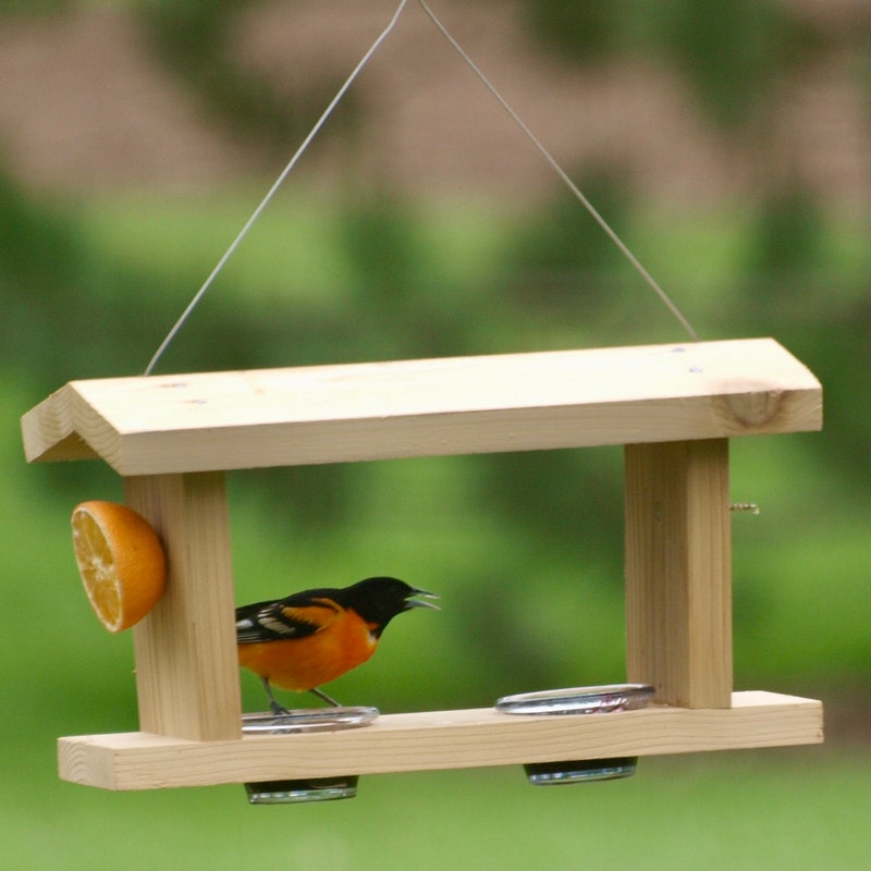 Oriole Feeder - Etsy