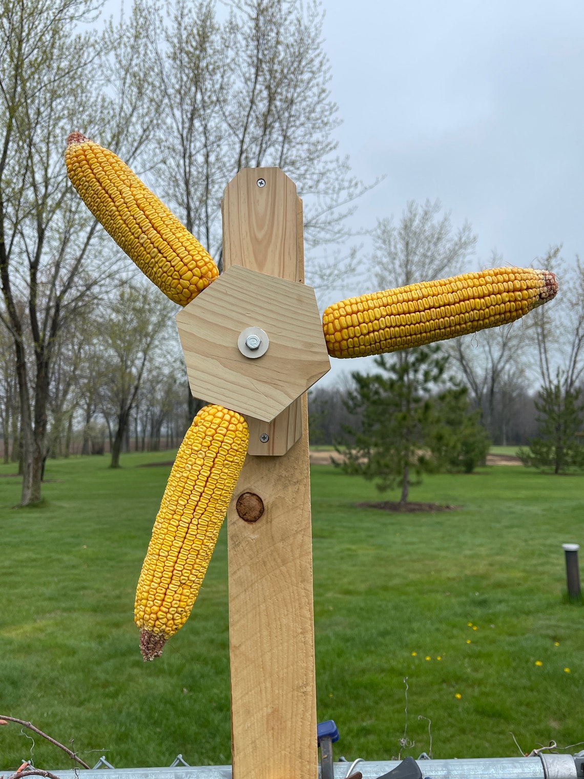 Have Fun Watching Your Squirrels Eat From This Three Corn Cob Spinning ...