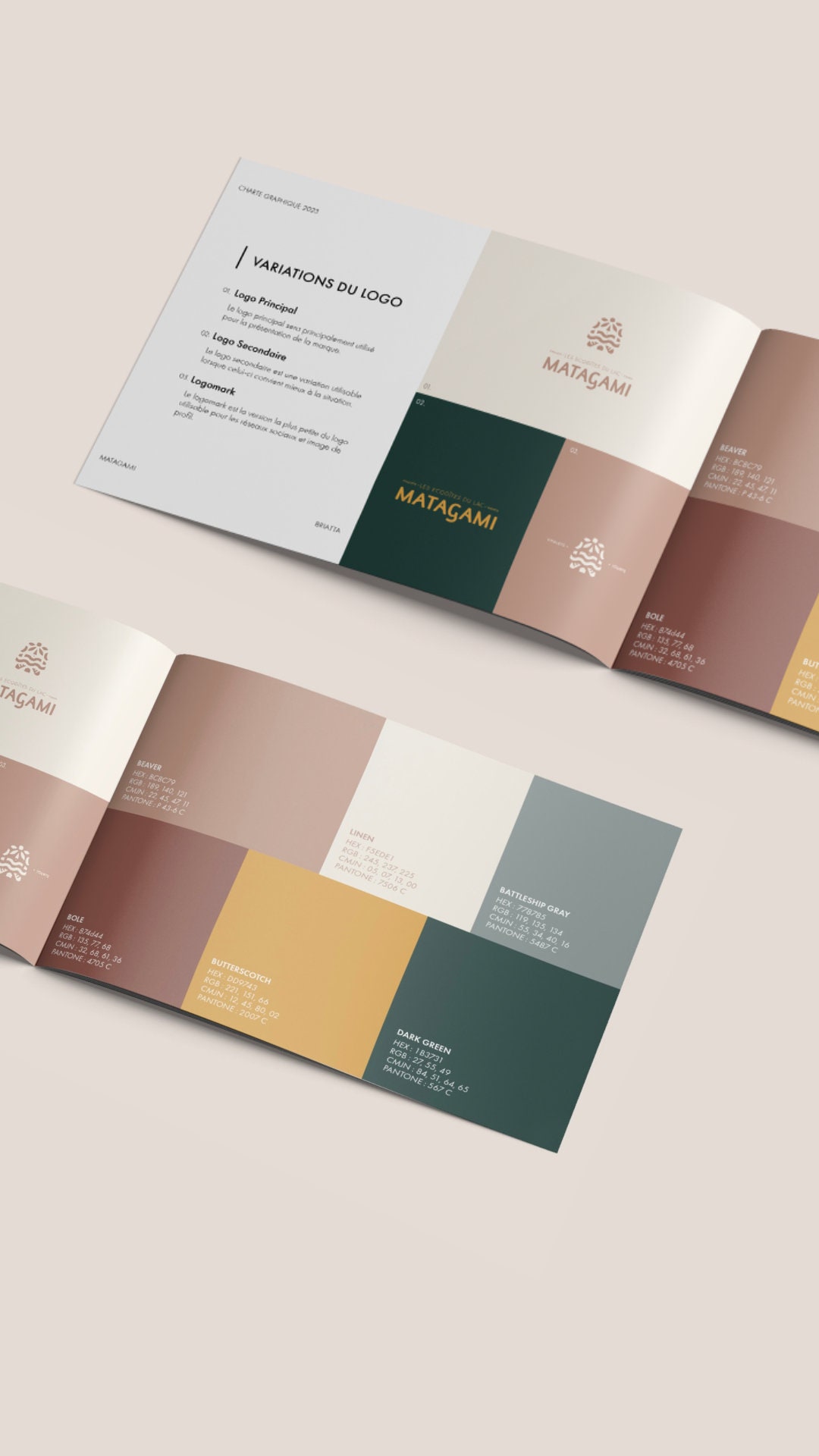 Français Charte Graphique Template, Modèle De Charte Graphique Pour ...