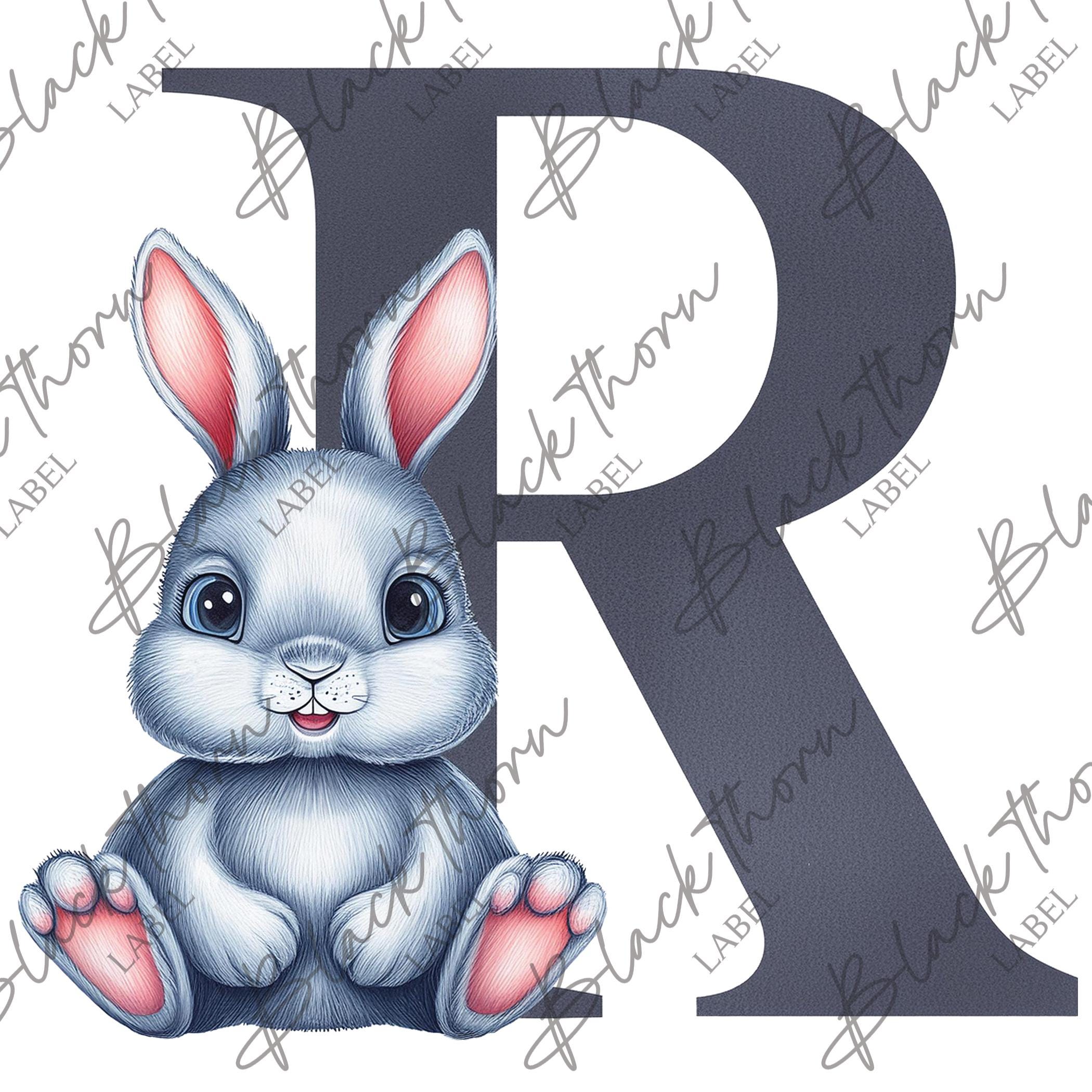 Cute Alphabet Animals, Clipart Set; PNG Downloads, Graphics; Back to ...