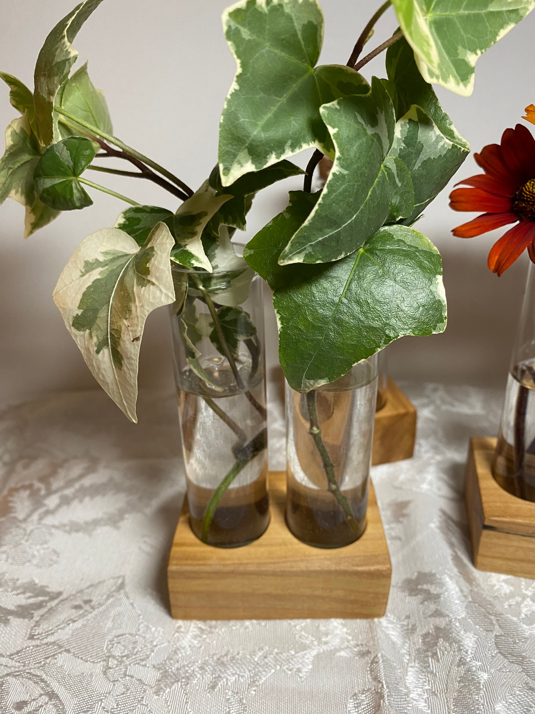 Double Glass Tube Propagation Station Hydroponic Vase Indoor - Etsy