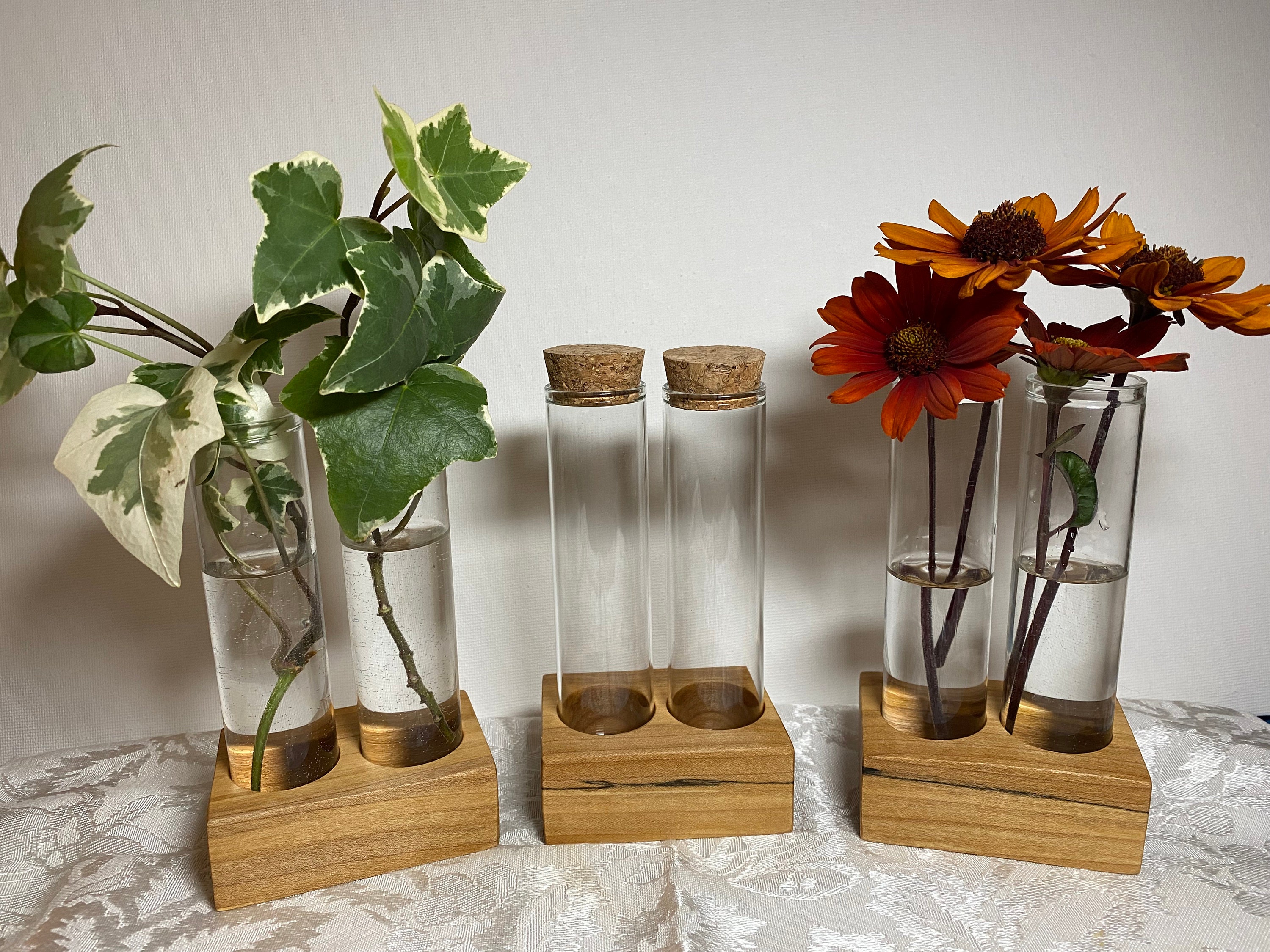 Double Glass Tube Propagation Station Hydroponic Vase Indoor - Etsy