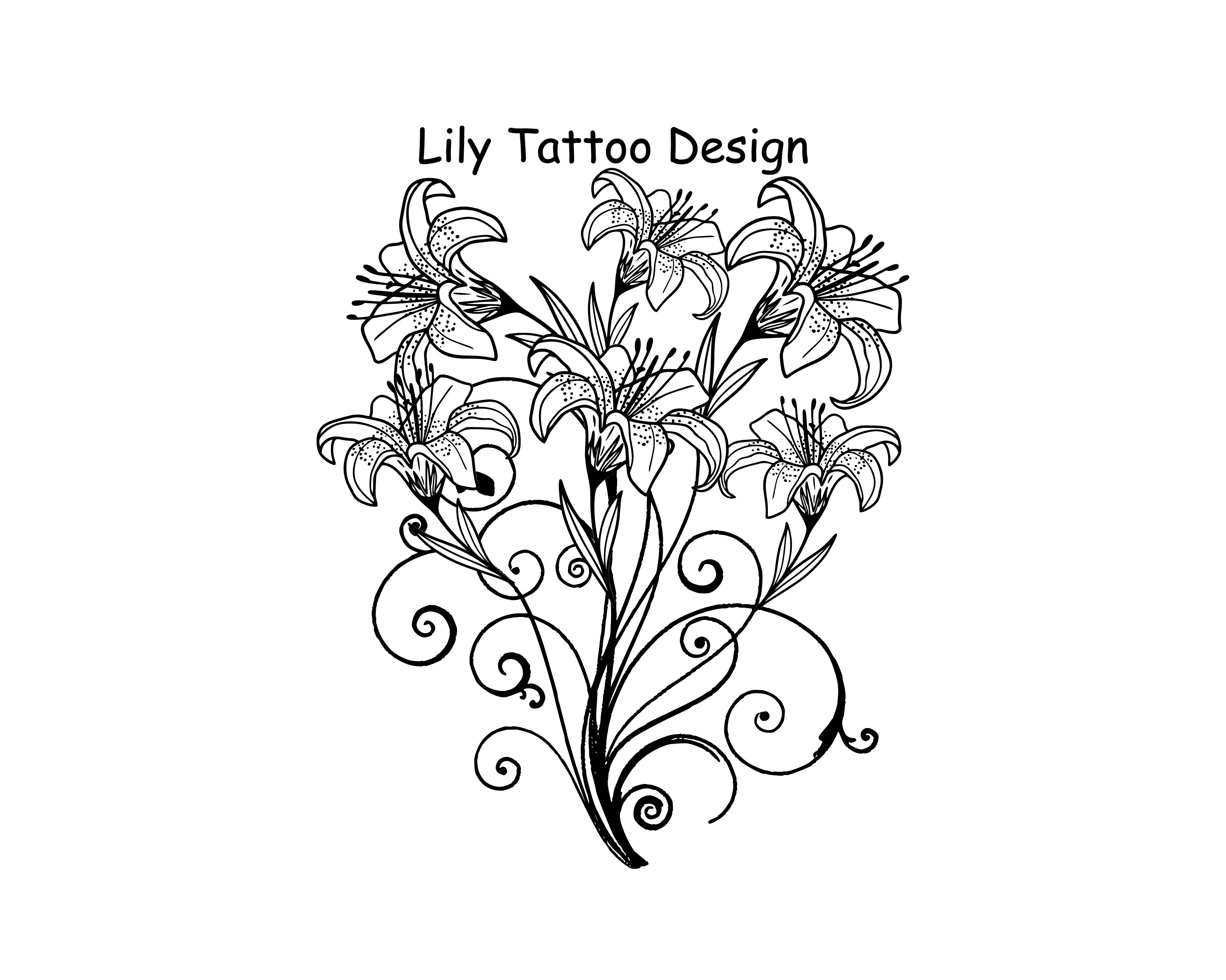 Lily Tattoo Drawing
