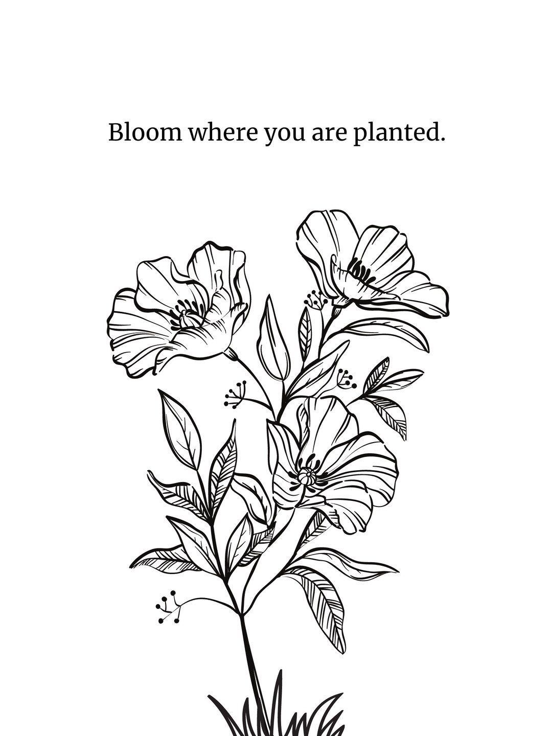 Bloom Where You Are Planted Flower Quote, Digital Download, Flower ...