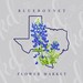 BUNDLE Texas State Flower Png; Bluebonnet Inside TEXAS Text Png File ...