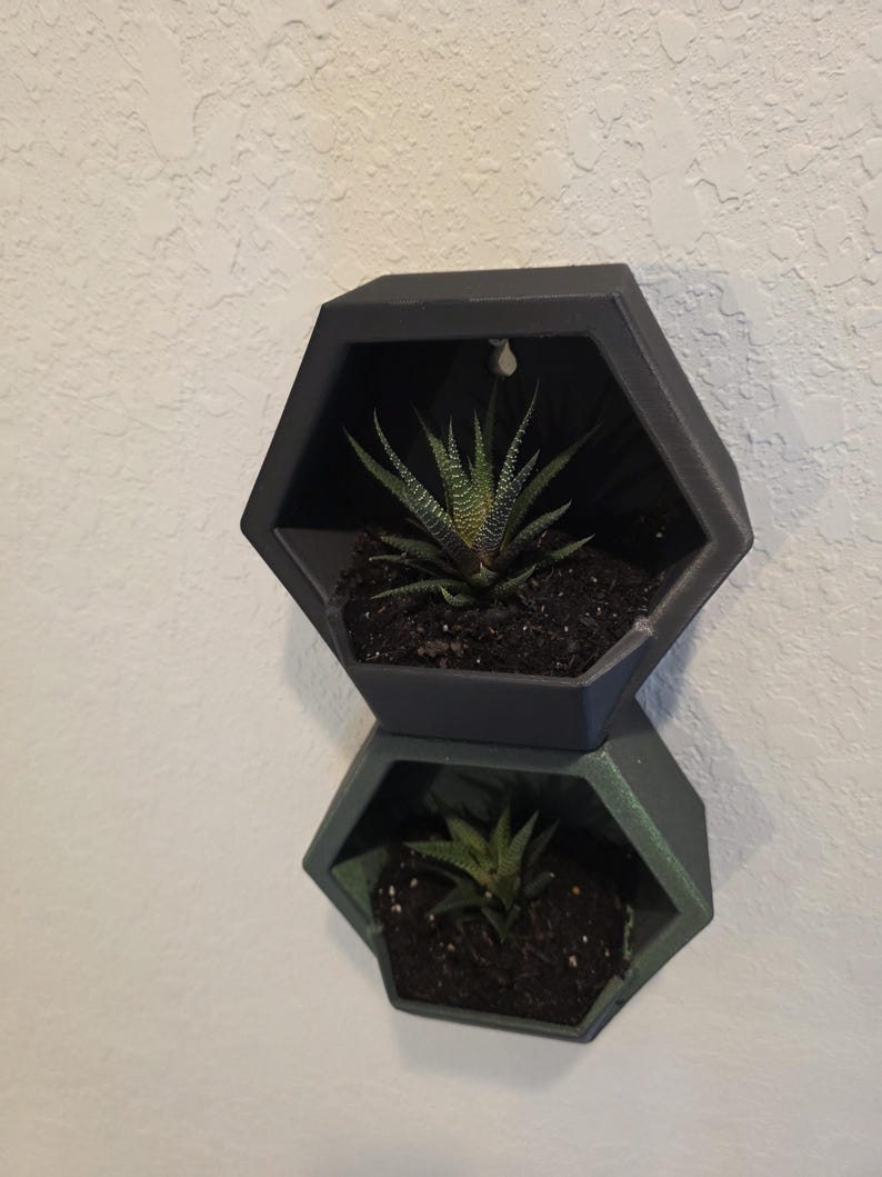 Modern Hexagon Wall Planter – 3D Printed Indoor Plant Pot | Hanging ...