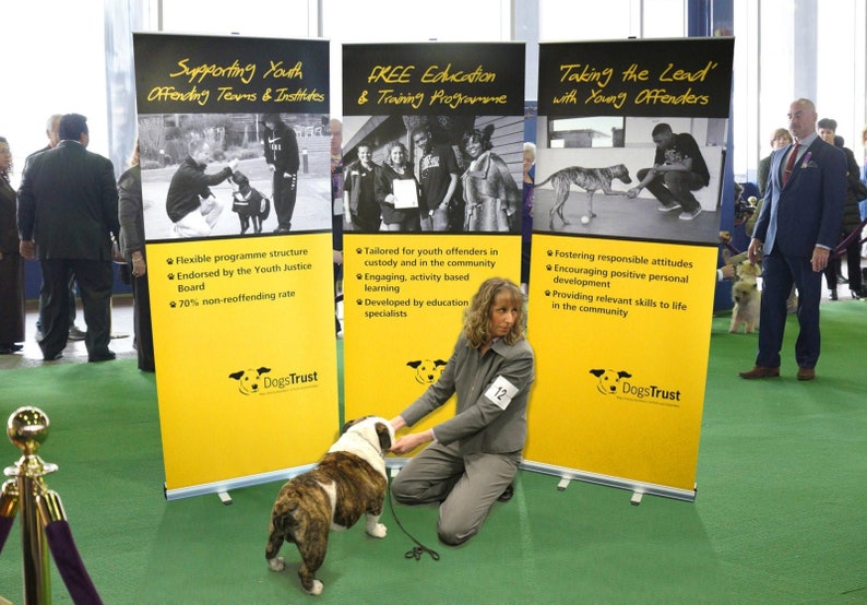 Roll up Banners - Etsy