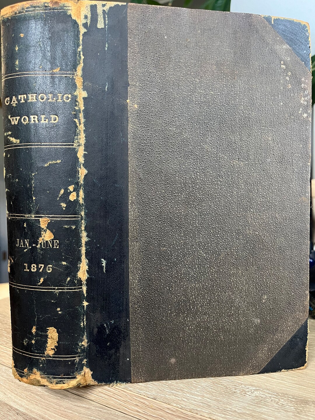 1876 the Catholic World. A Monthly Magazine of General Literature and ...