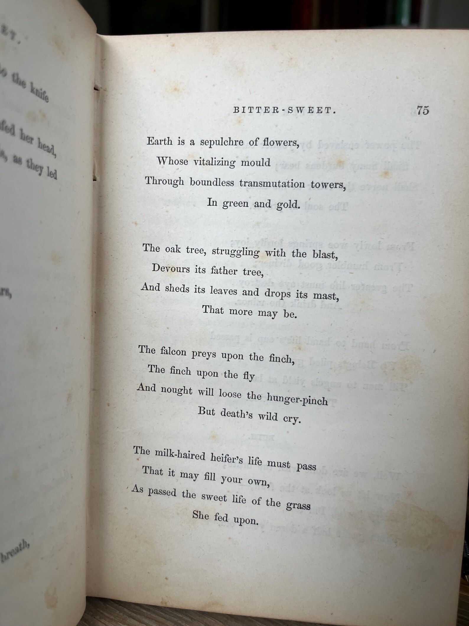 1859 Bitter-sweet. A Poem. by J.G. Holland - Etsy
