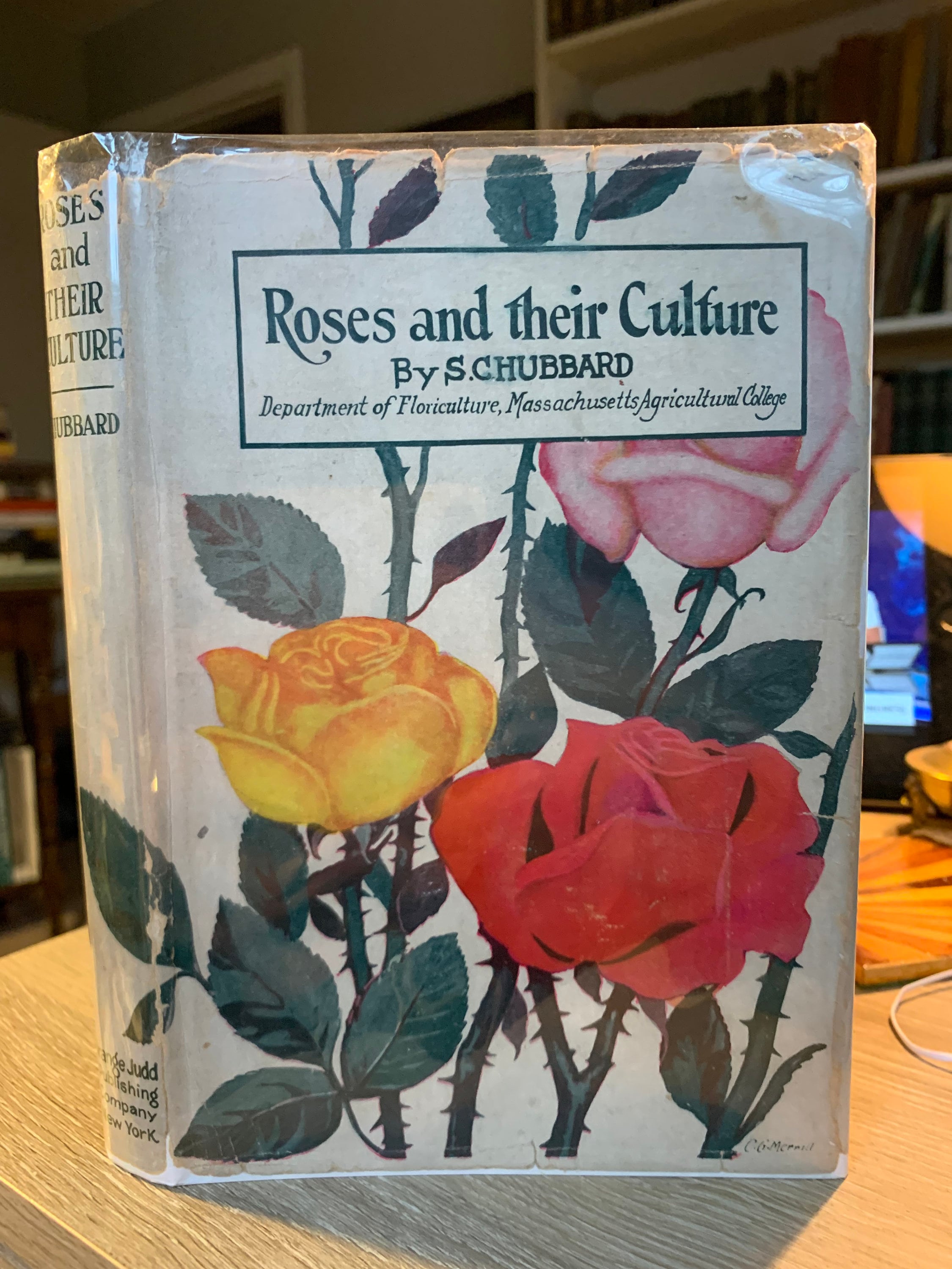 1933 Roses and Their Culture: How to Propagate, Grow and Exhibit ...