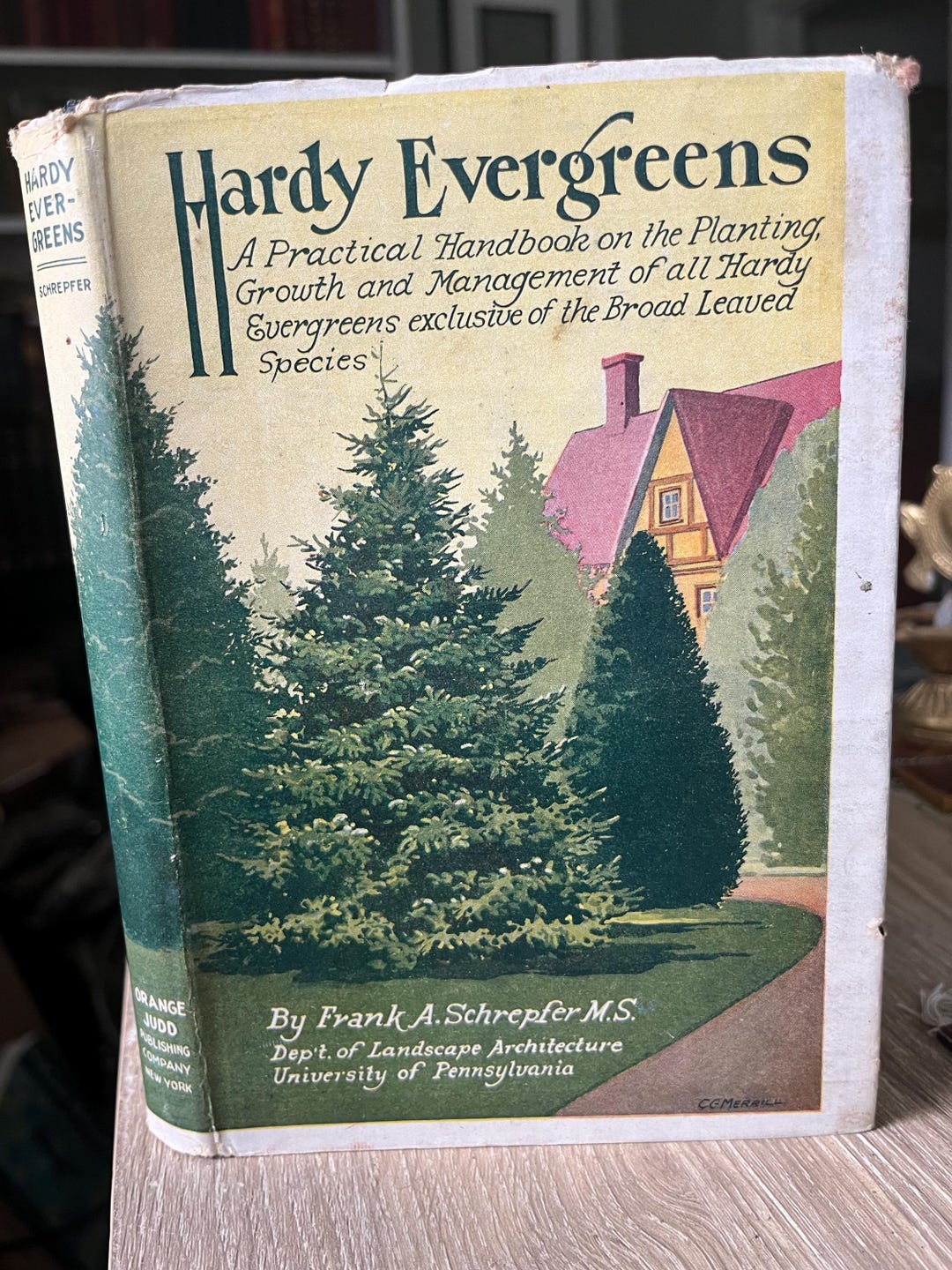 1928 Hardy Evergreens. A Practical Handbook on the Planting, Growth and ...