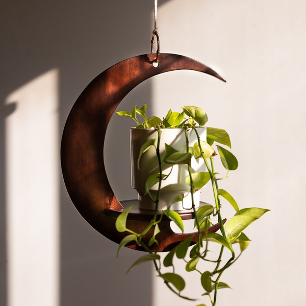 Moon Plant Pot - Etsy