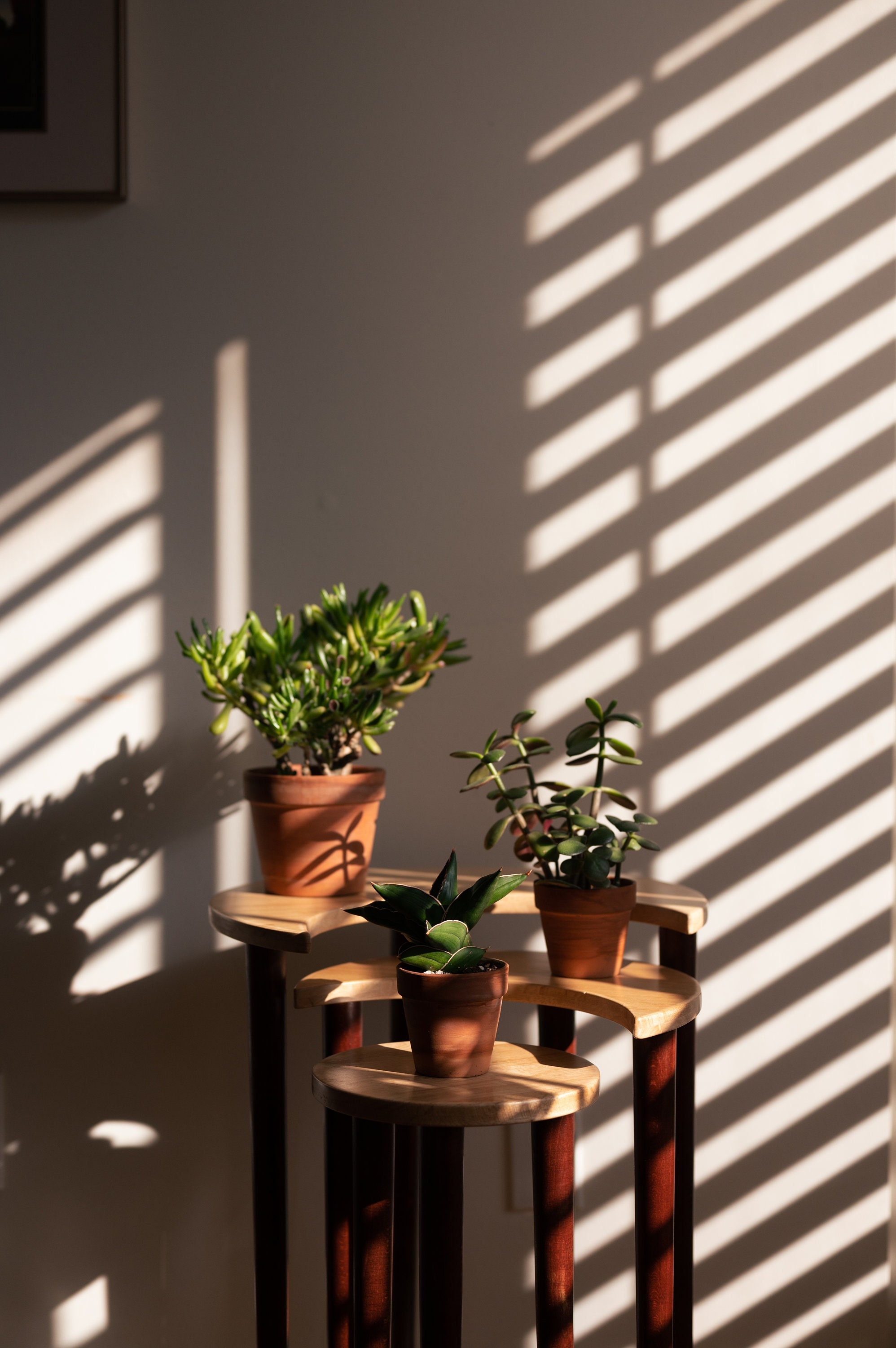 Moon Shaped Wood Plant Stand Nesting Tables Tiered Plant - Etsy