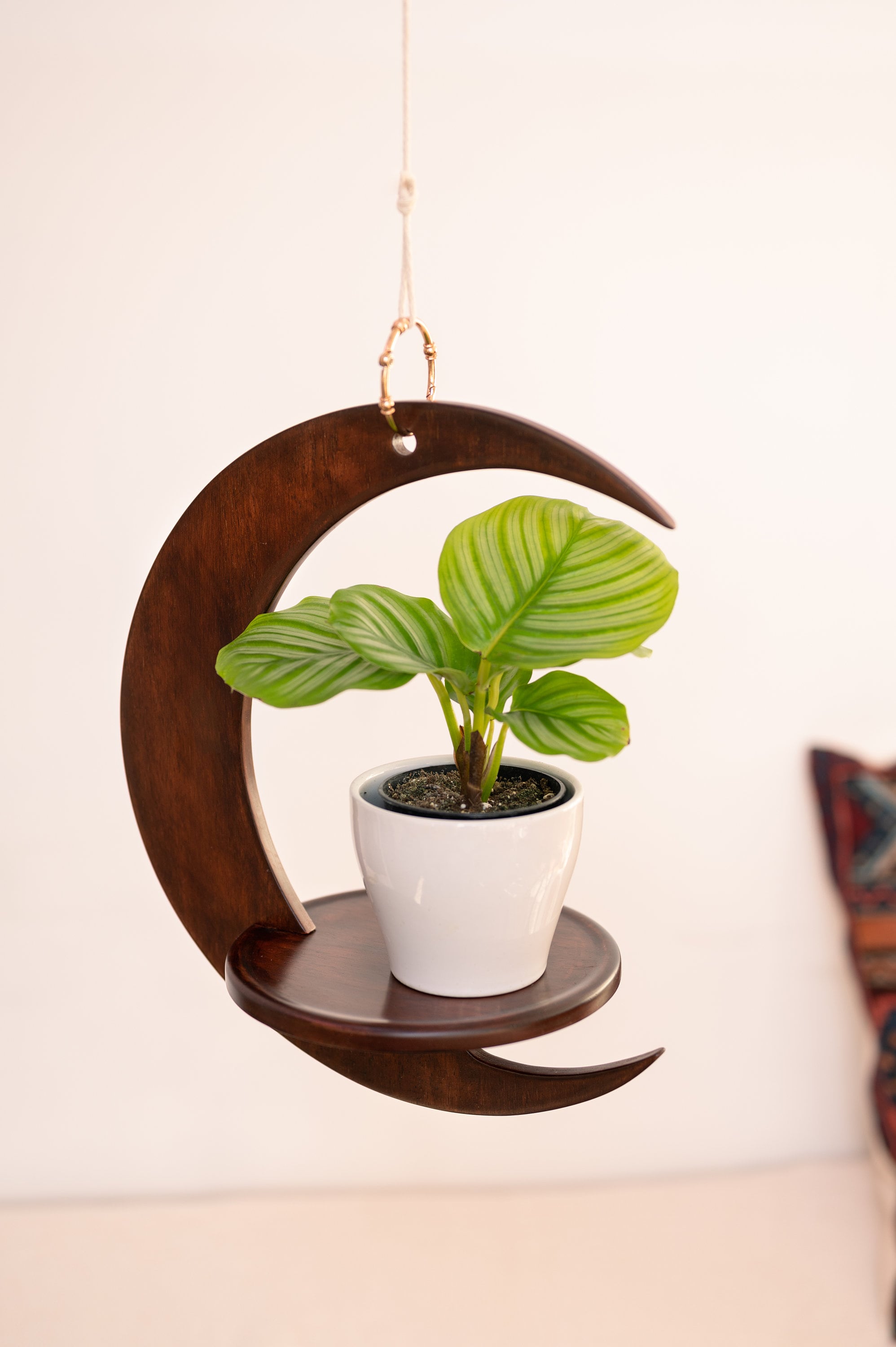 Moon Shaped Plant Hanger Handmade Solid Wood - Etsy