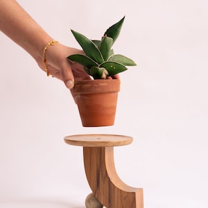 Mini Plant Stand Bundle, Modern Minimal, Mid-century Modern, Indoor ...