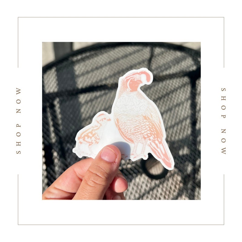 Quail Stickers - Etsy