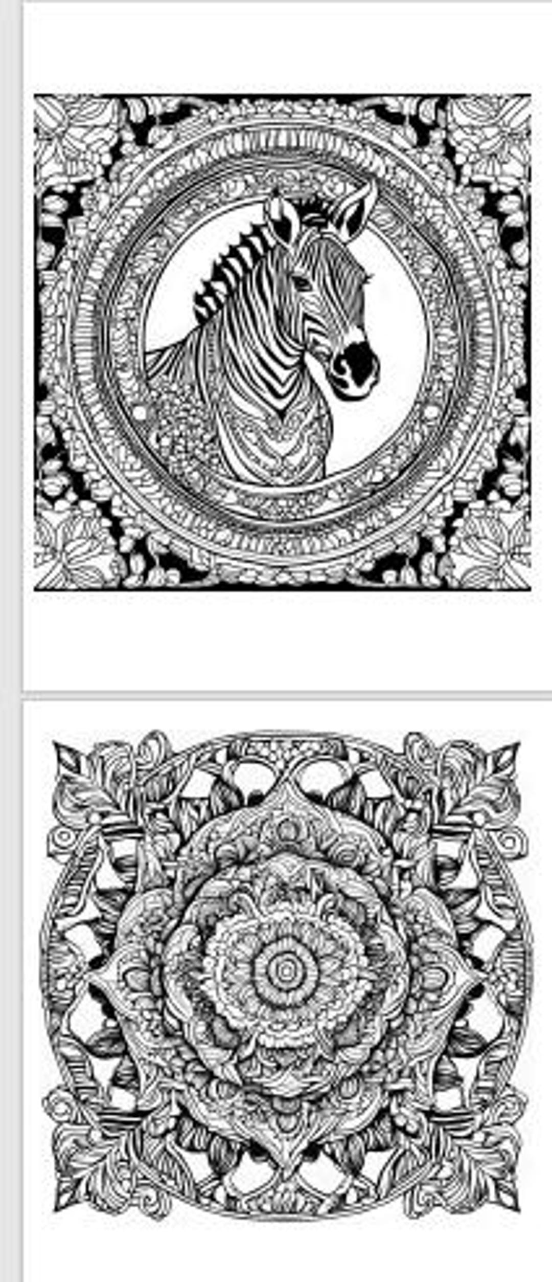 Zebra Themed Mandala Coloring Pages - Etsy