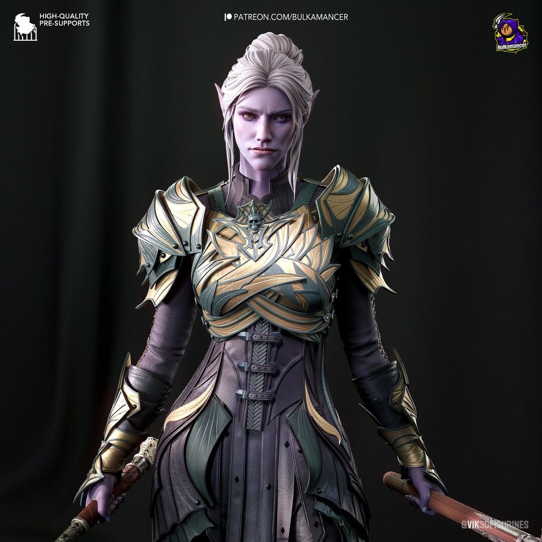 Dark Elf Figure Kit or Bust by Bulkamancer - Etsy