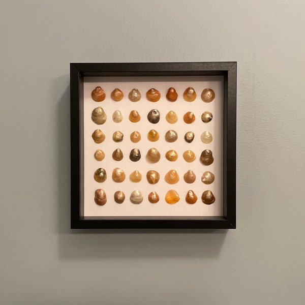 Shell Artwork - Etsy