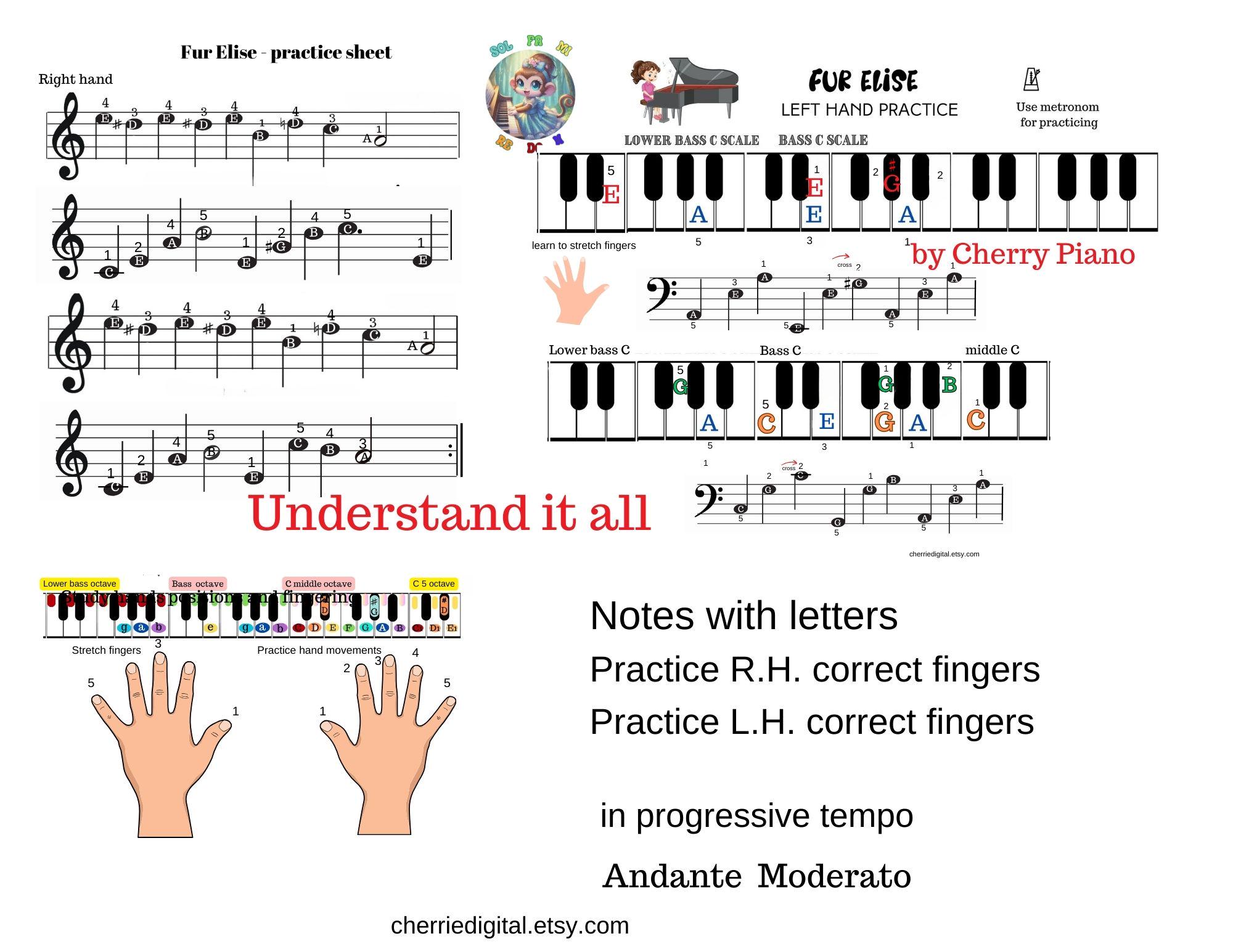 Fur Elise L.V. Beethoven Sheet Music, Step-by-step Learning, Beginners ...
