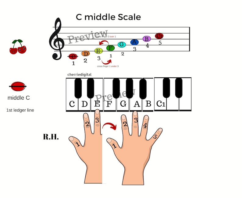 Piano Hands Scales Sheet Music, Correct Fingers, Piano Lessons, Small ...