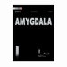 Amygdala - Agust D BTS Suga - Etsy
