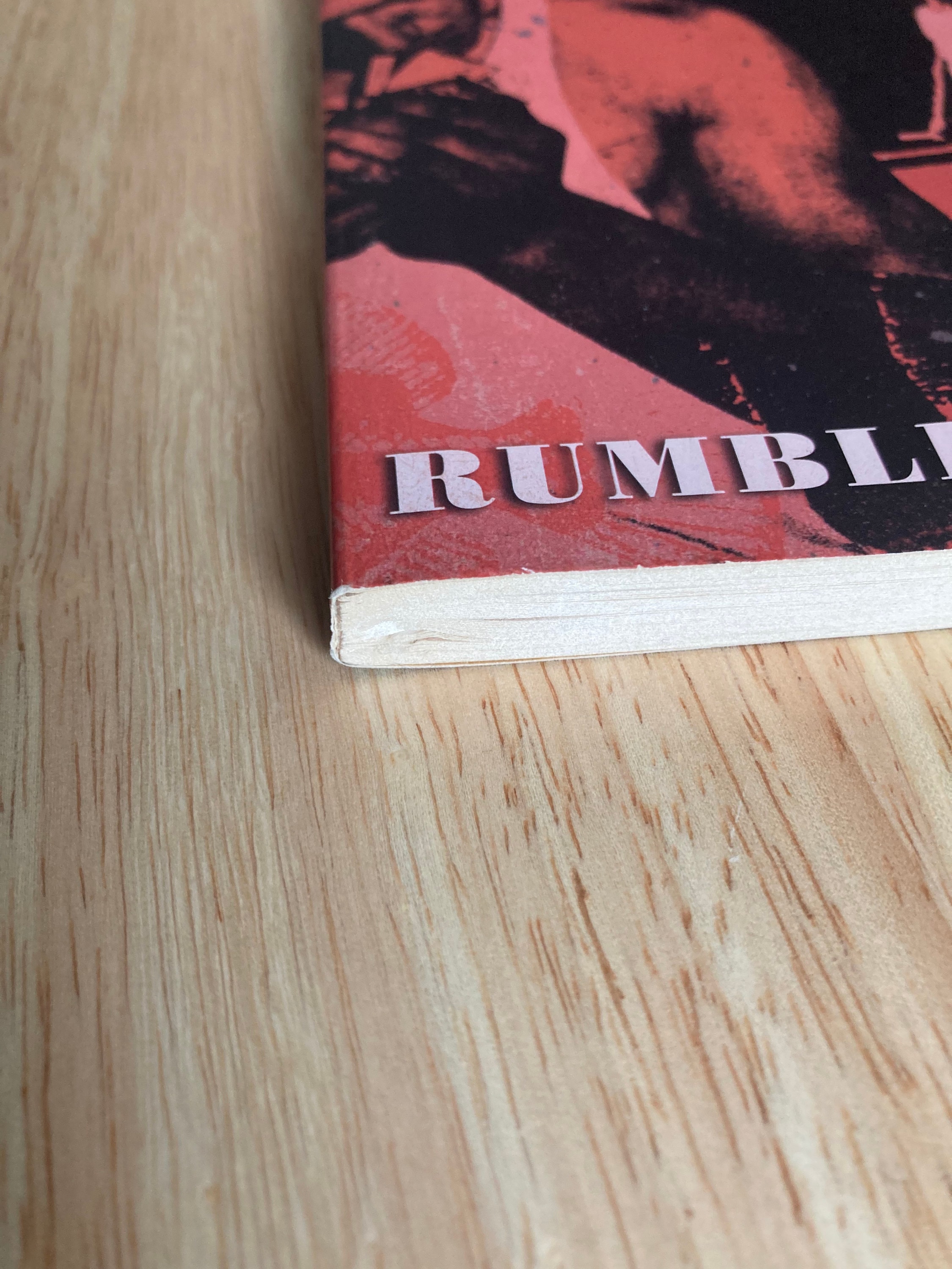 Rumble Fish by S.E. Hinton 2000s Paperback Novel/teen/fiction/ya/the ...