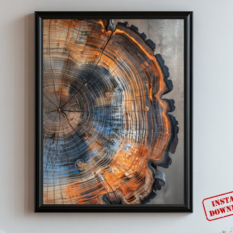 Tree Ring - Etsy