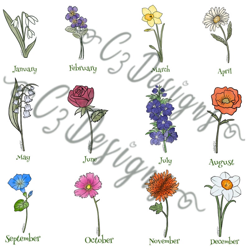 February Birth Flower Sticker Birth Month Decor Unique Vinyl Decal ...