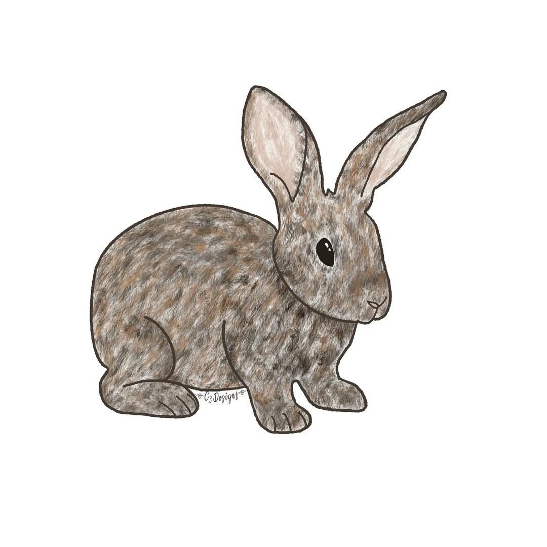 Bunny Sticker - Etsy