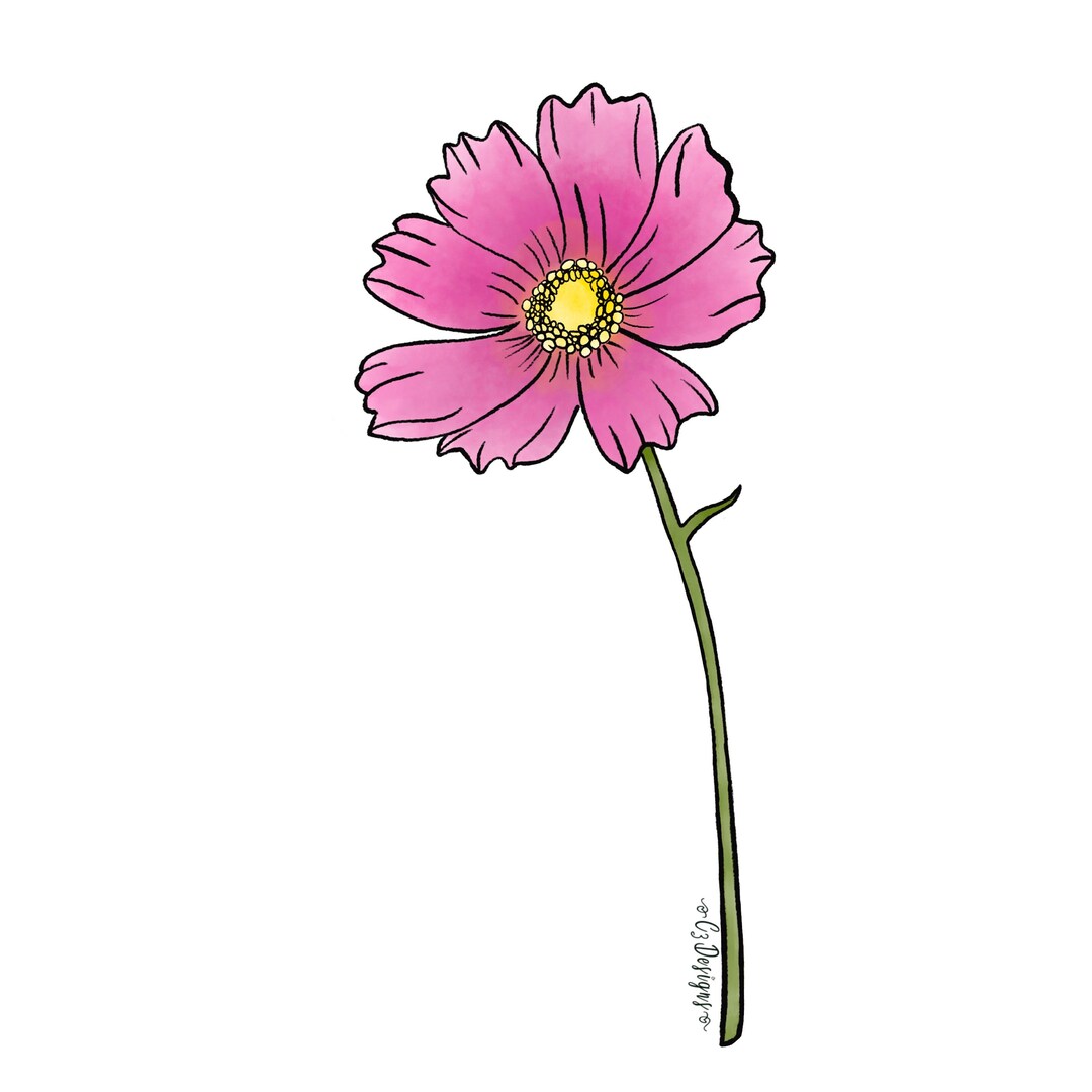 October Birth Flower Sticker Birth Month Decor Unique Vinyl Decal ...