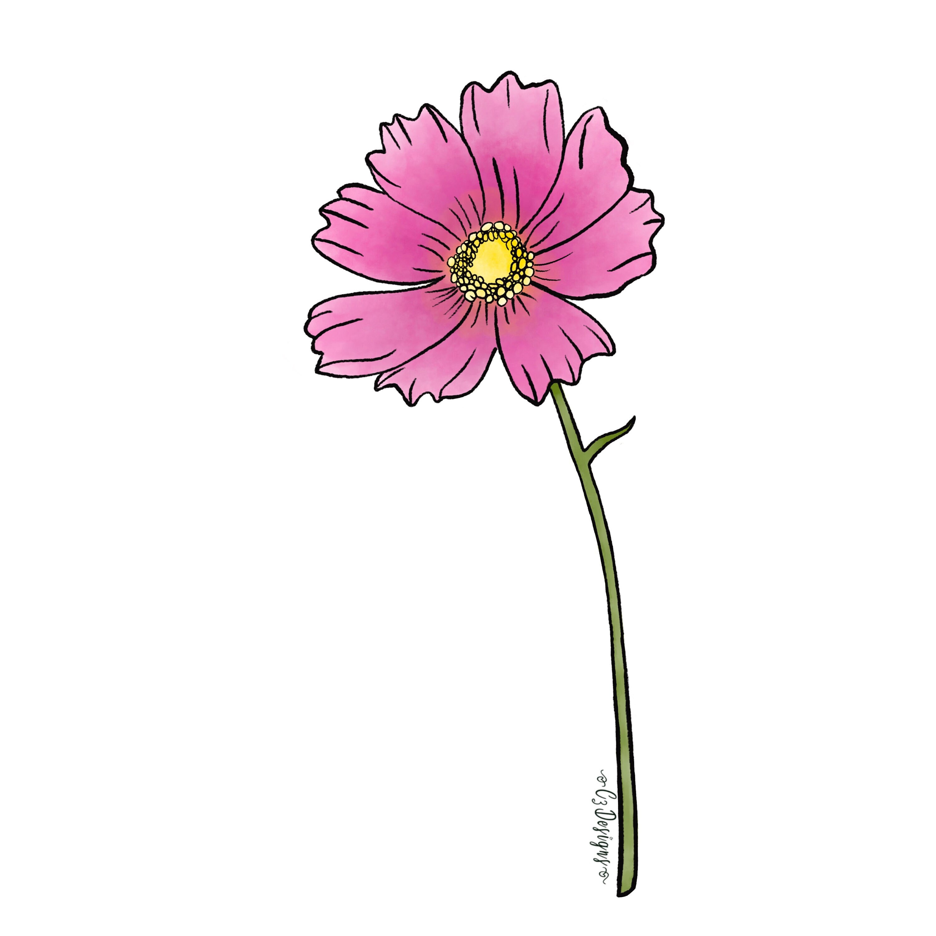 October Birth Flower Sticker Birth Month Decor Unique Vinyl Decal ...