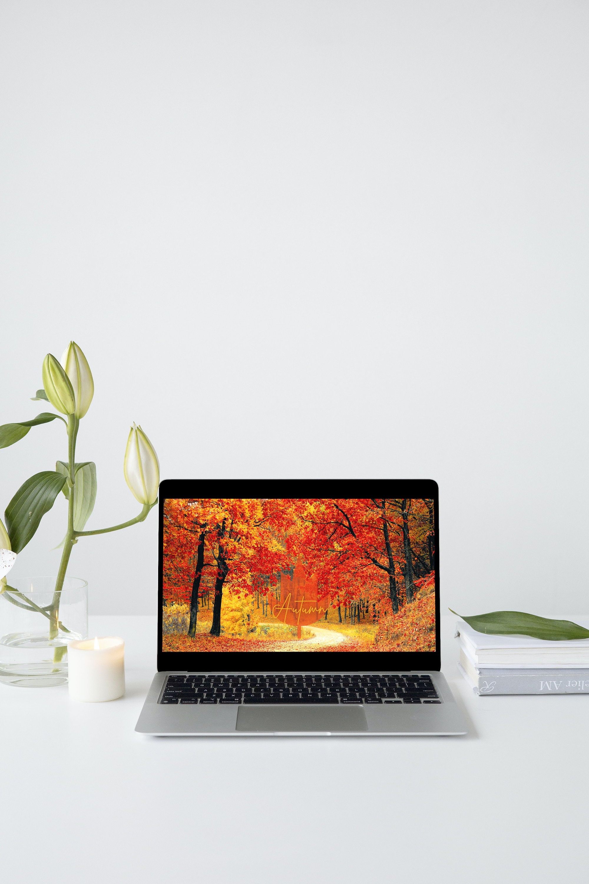 Fall Desktop Wallpaper Bundle Wallpaper HD Computer Wallpaper - Etsy